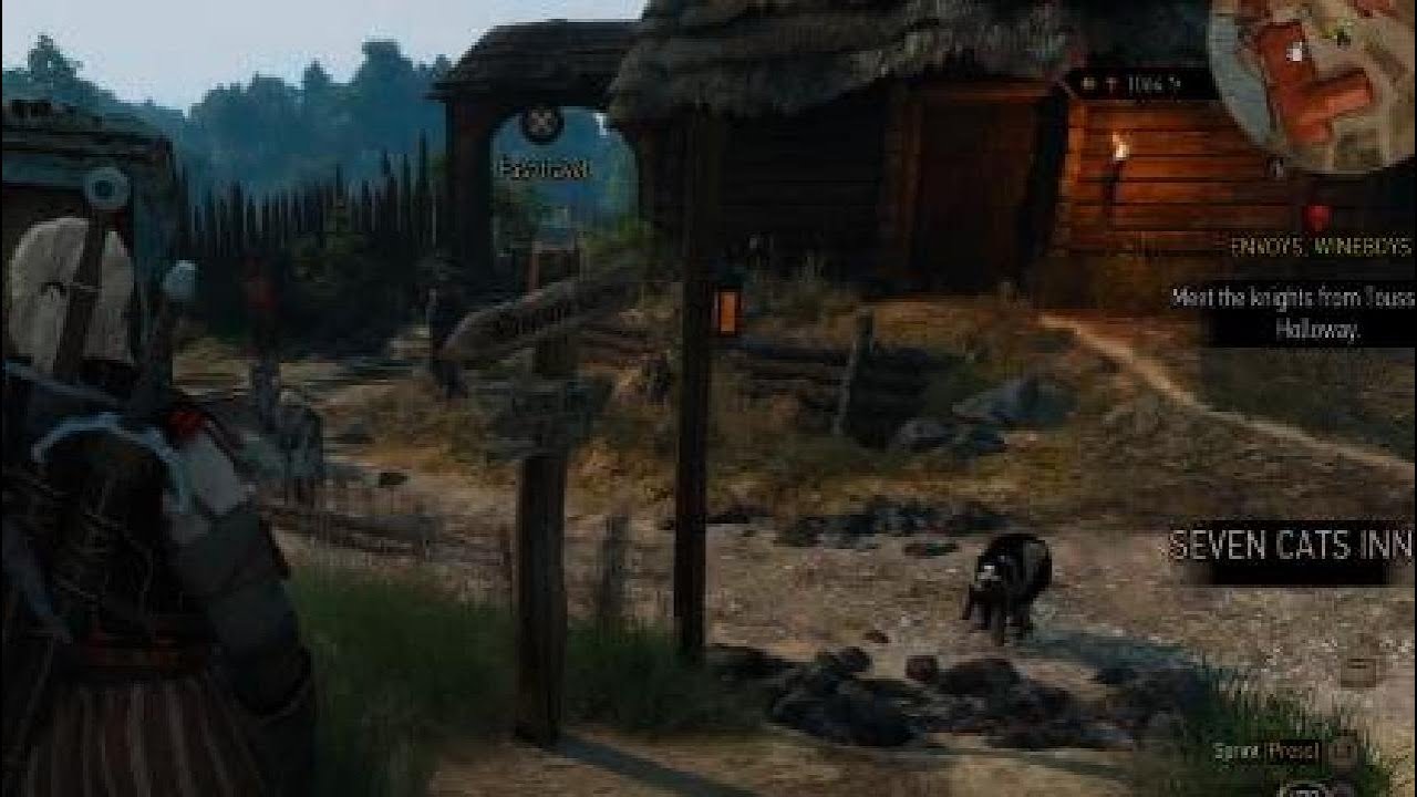 The Witcher 3: Seven Cats Inn is Strange - YouTube