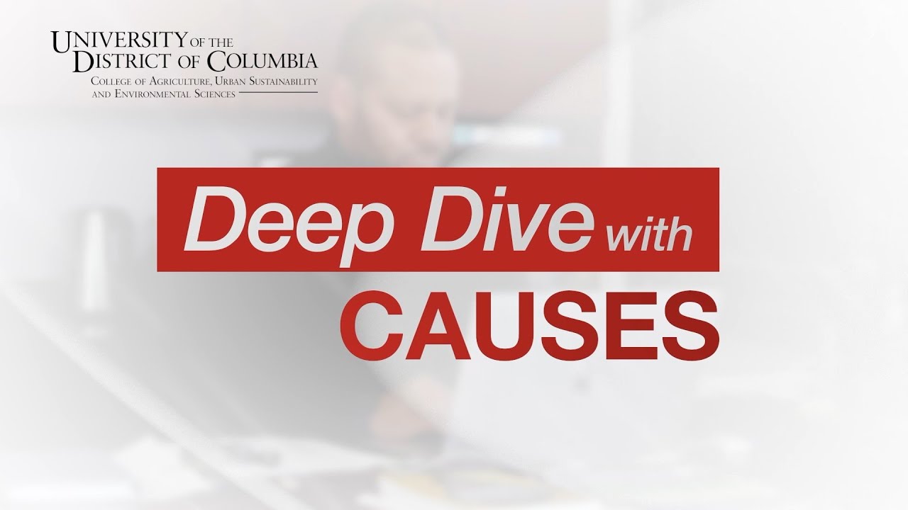 Deep Dive with CAUSES - YouTube