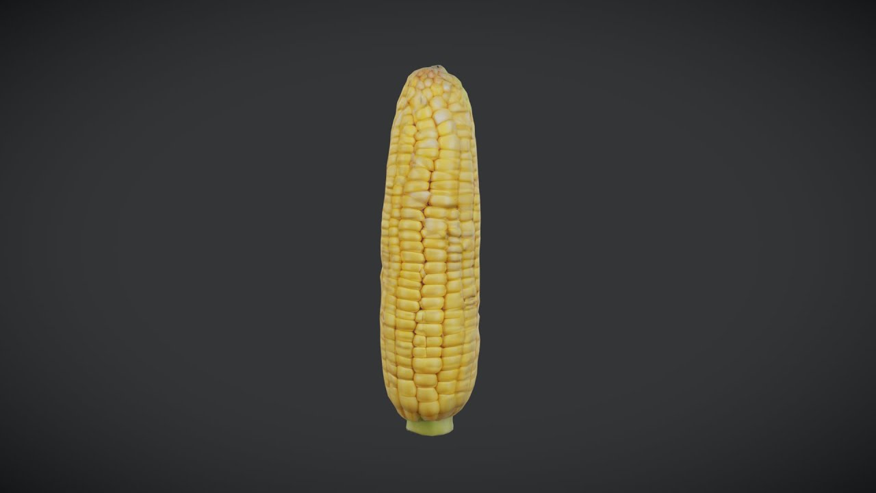 🌽 Corn Cob – Low Poly PBR 3D Model - YouTube