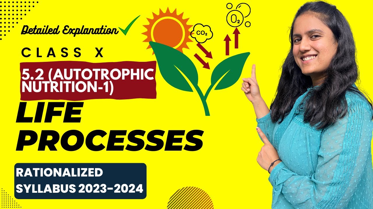Life Processes Class 10 Science Biology Cbse Ncert Class 10 2023 24