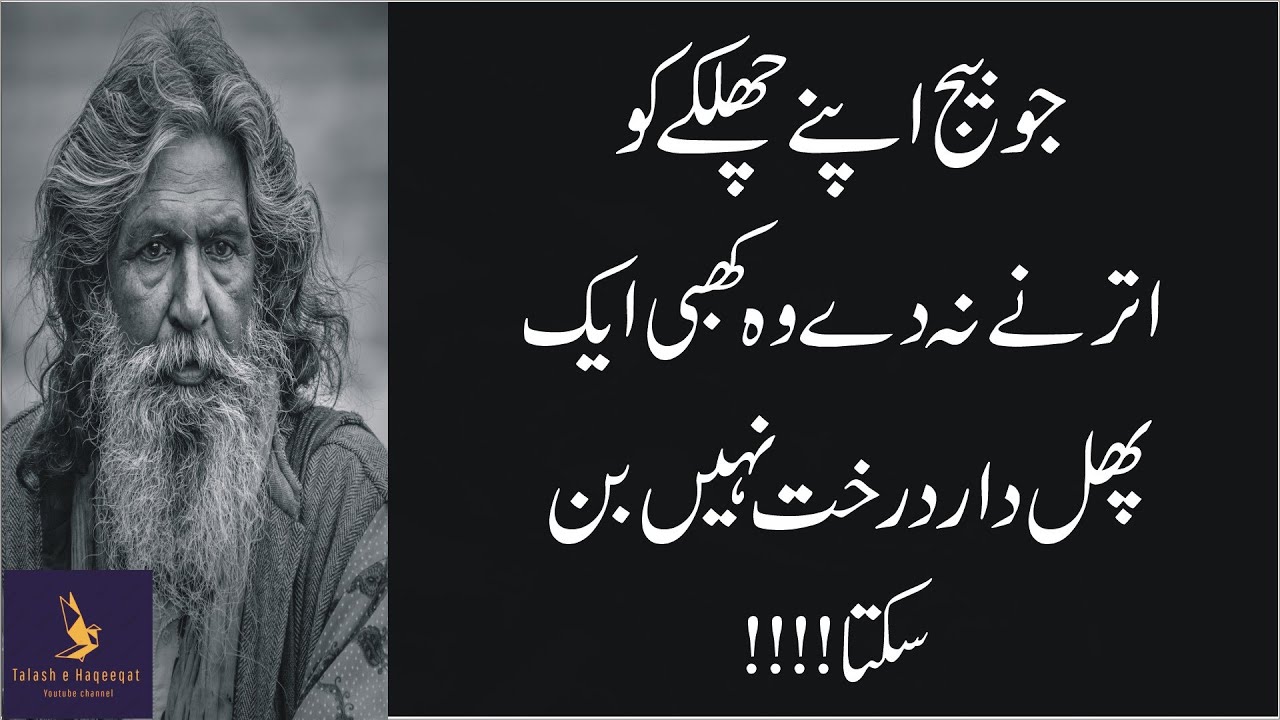 Jo Beaj Apnay Chalkay kw Otarnay na de wo Khabi aik phal dar darakht ...