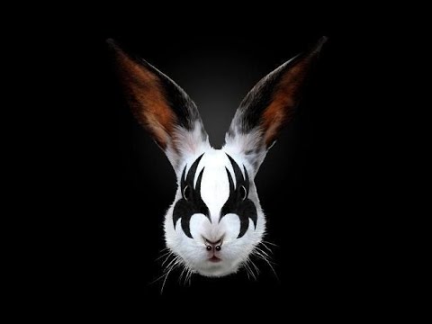 How the Rabbit cured his wound - YouTube