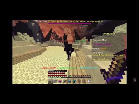 Obsidian defender wants a hug… Technoblade skyblock. - YouTube
