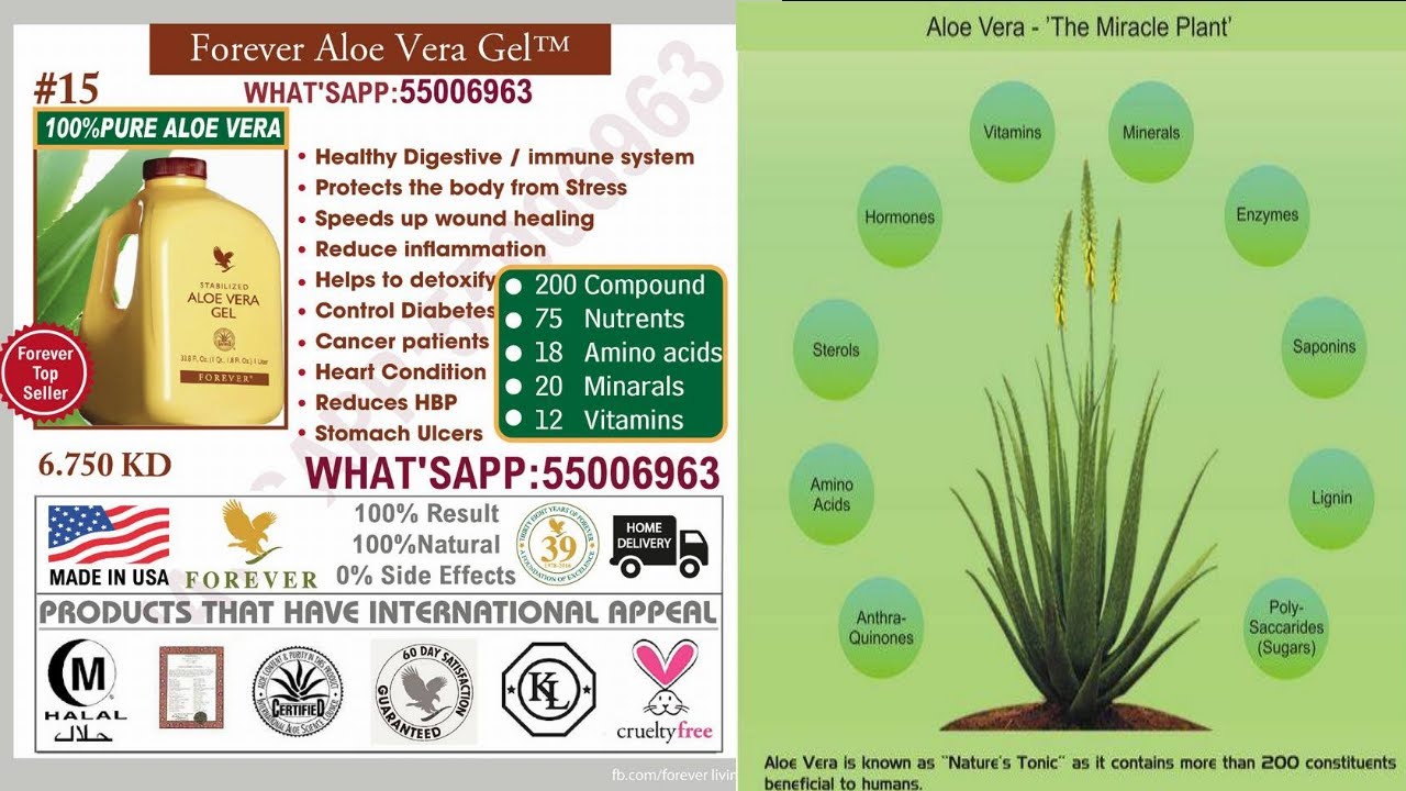 How to works aloe vera in our body - YouTube