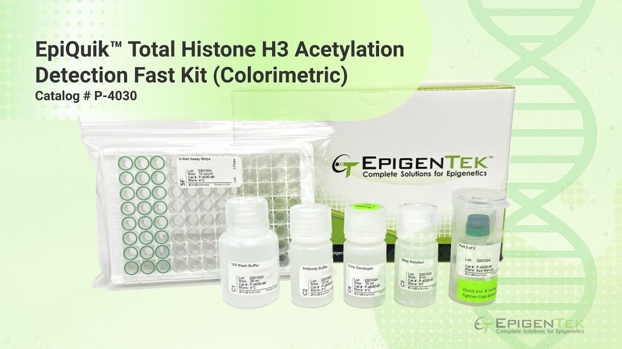 Total Histone H3 Acetylation Detection Fast Kit | EpiQuik User Guide ...