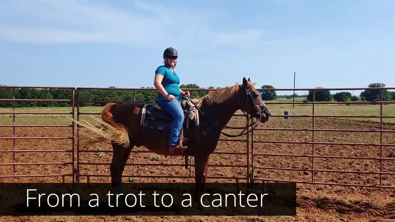 How to work on Riding the transition from a trot to a canter in the ...