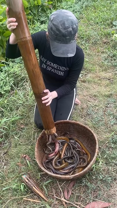 Amazing Eel Trap Technique For Giant Eel Fish - YouTube