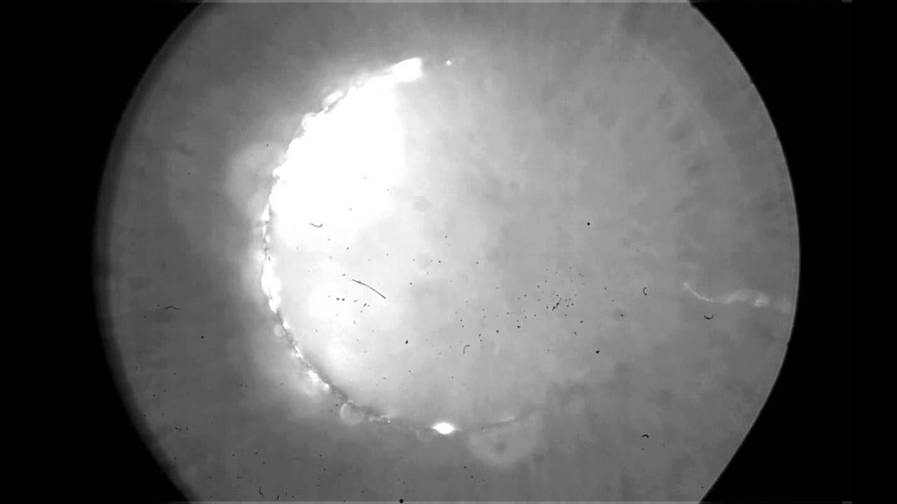 Mag osc post - YouTube