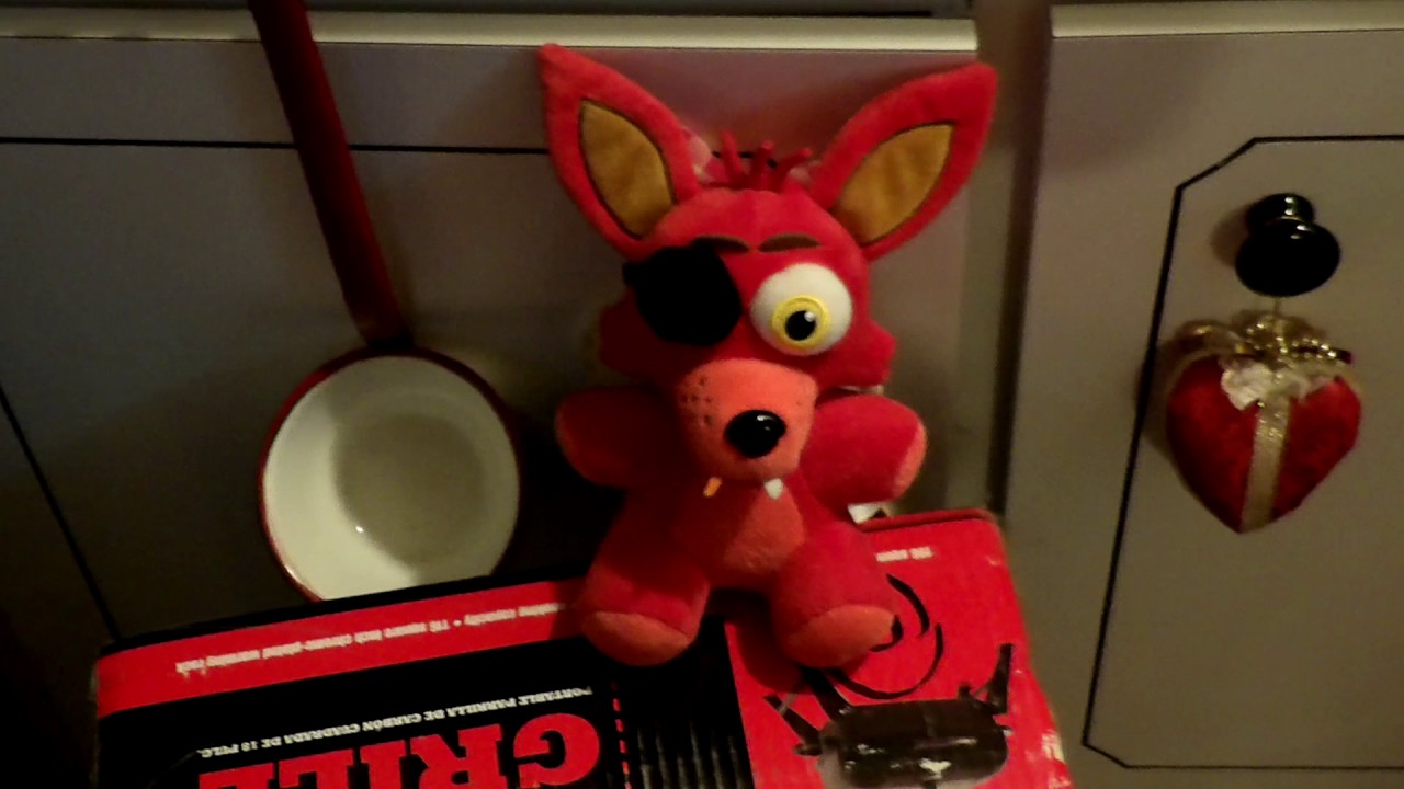 Foxy Can Has Obvious Boxy? - YouTube
