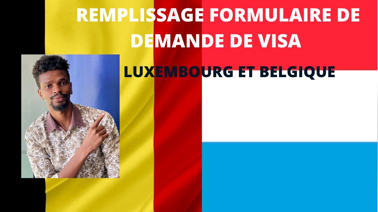 Remplissages du formulaire en ligne pour demander un visa Luxembourg et ...