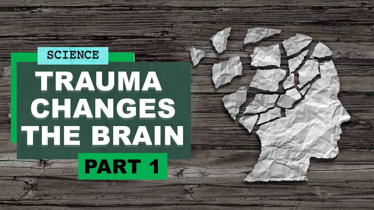 Trauma Changes The Brain | Neuroscientist Dr Tracey Shors - YouTube
