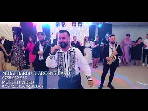 MIHAI BARBU & ADONYS BAND - COLAJ HORE ( COVER LIVE 2024 )