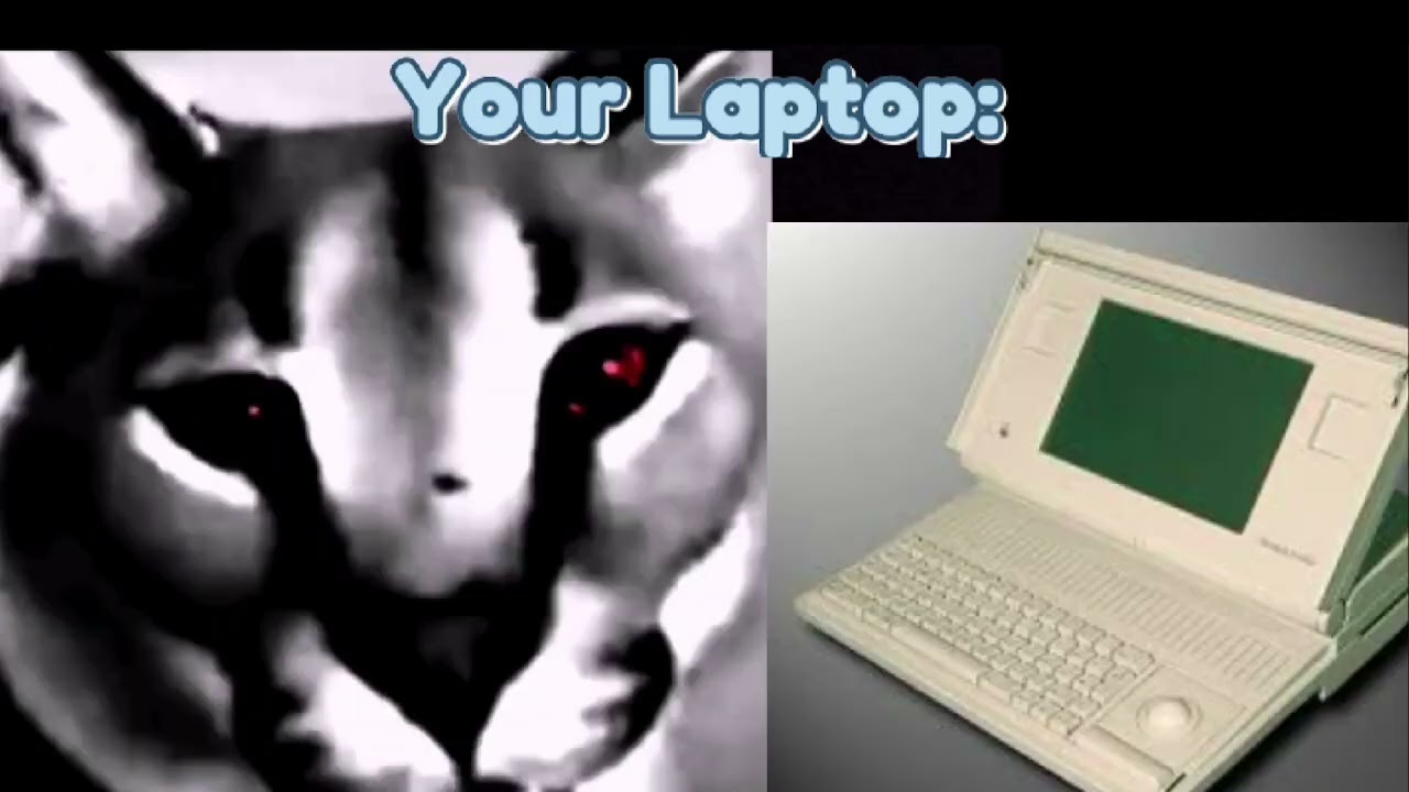 Floppa Becoming Uncanny - Your Laptop - YouTube