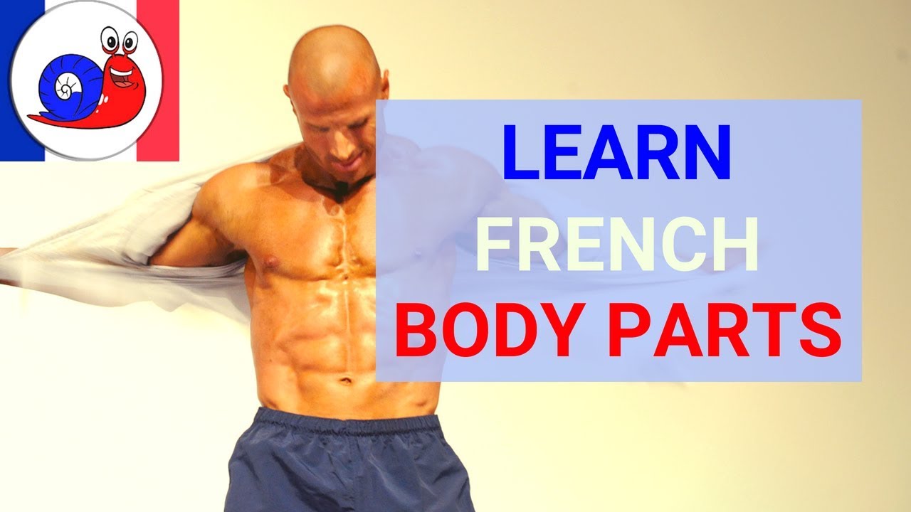 Learn the parts of the body in French [Increase your Vocabulary] - YouTube