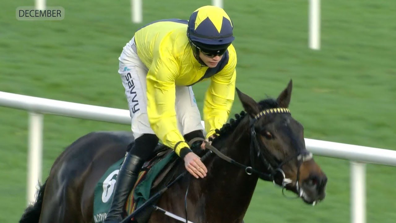 What a month of action! Racing TV Jumps Racing Review Show - December ...