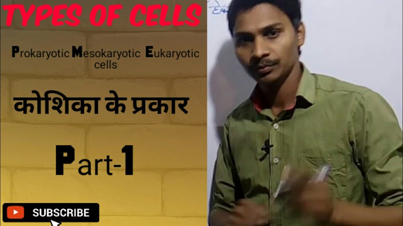 कोशिका के प्रकार|| Types of cell prokaryotic mesokaryotic Eukaryoric ...