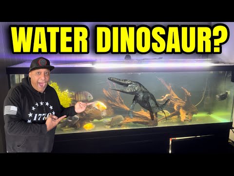 Rare Freshwater Dinosaur Fish! - YouTube