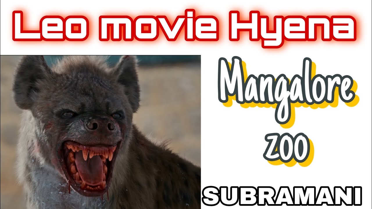 Leo Subramani💥in Mangalore zoo 🔥Leo movie hyena 😱💥 Mangalore Kudla # ...