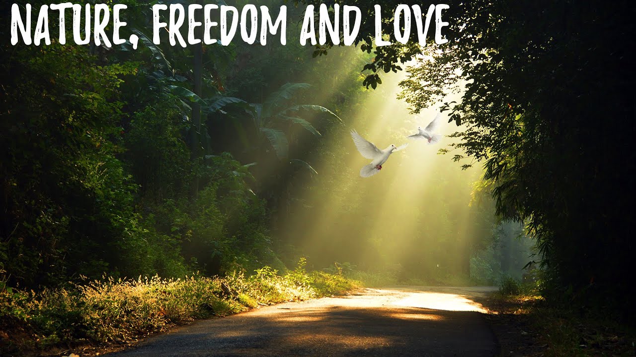 NATURE, FREEDOM, AND LOVE with Jon Turk - YouTube