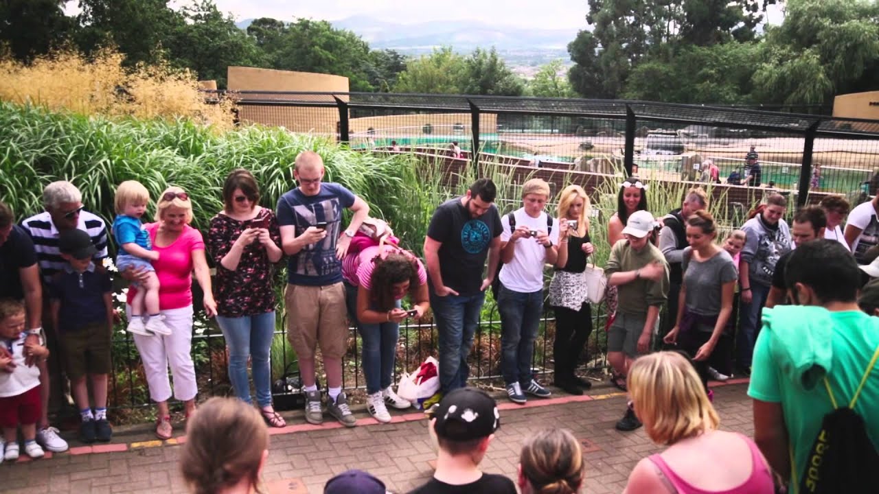 RZSS EDINBURGH ZOO - A GREAT DAY OUT FOR A GOOD CAUSE - YouTube