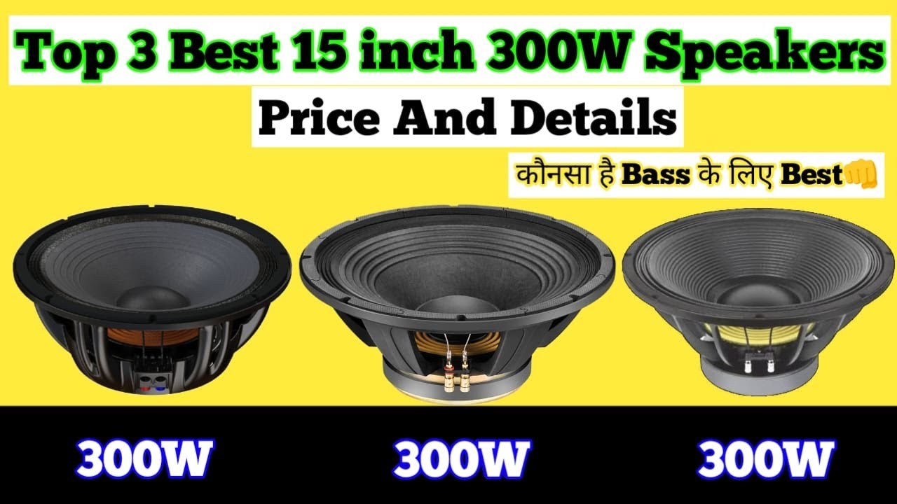 Top 3 Best 15 inch 300w Speakers Price And Details In [HINDI] - YouTube