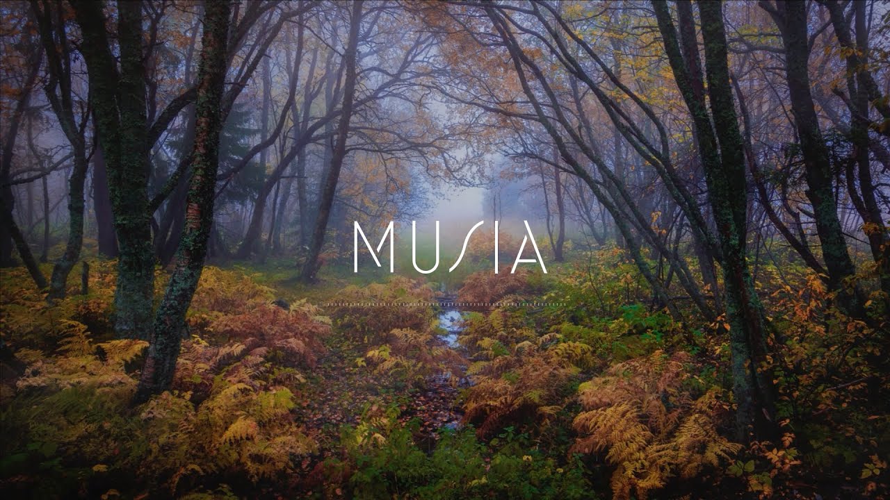 Alive | new age, piano, calm, emotional, chill, relax, 🎼 Sheet Music ...