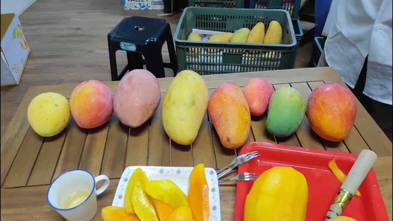 Taiwan Mango Types ... 芒果種類 - YouTube
