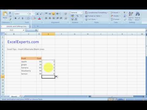 ExcelExperts.com - Excel Tutorial - Insert Alternate Blank Lines - YouTube