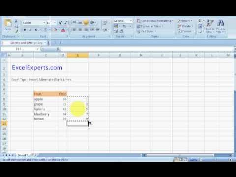 ExcelExperts.com - Excel Tutorial - Insert Alternate Blank Lines - YouTube