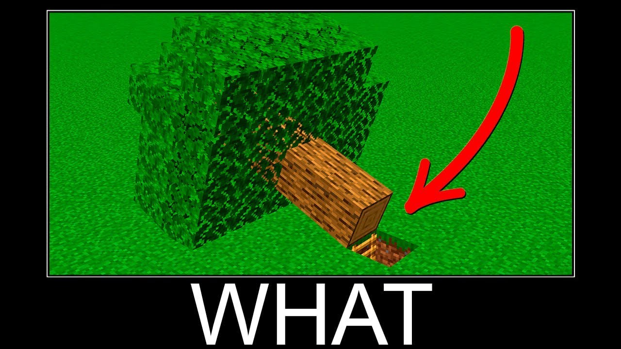 Minecraft WAIT WHAT meme 24/7 Livestream #1292 - YouTube