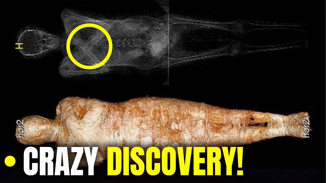 You Won't Believe this Discovery about this Ancient Mummy - YouTube