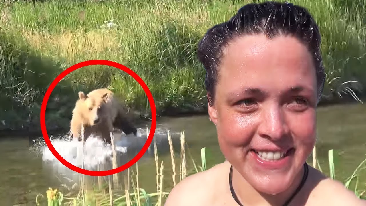 60 Scariest Bear Encounters of The Year - YouTube