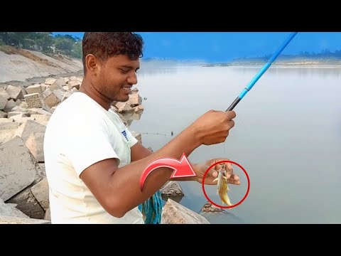 বড়শি দিয়ে নদীতে টানে টানে গুলশা মাছ | Gulsha Fish Catching in River ...