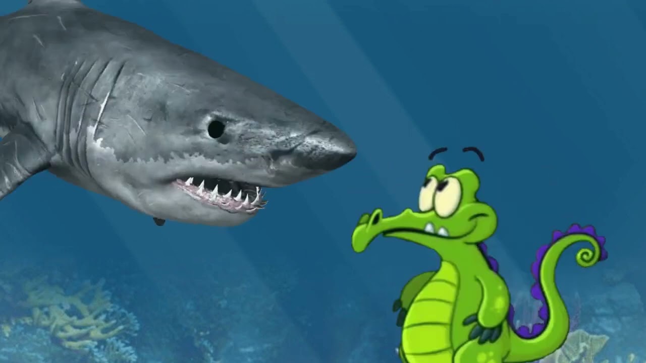 HEY MR. SHARK - YouTube