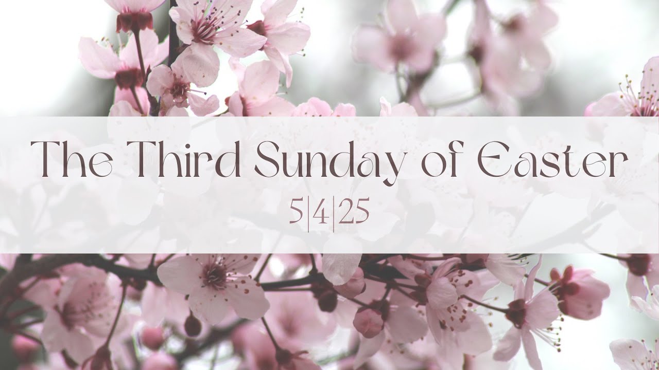 Reflection Video: Third Sunday after Easter (5/4/25) - YouTube
