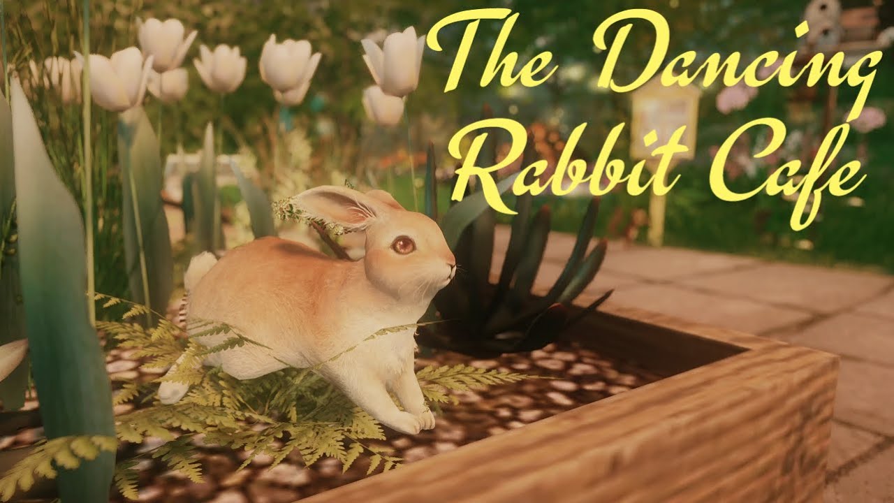 The Dancing Rabbit Cafe - YouTube