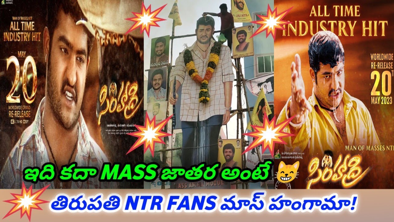 😸 Simhadri 4k Re Release Celebrations|Simhadri re release Hungama at ...