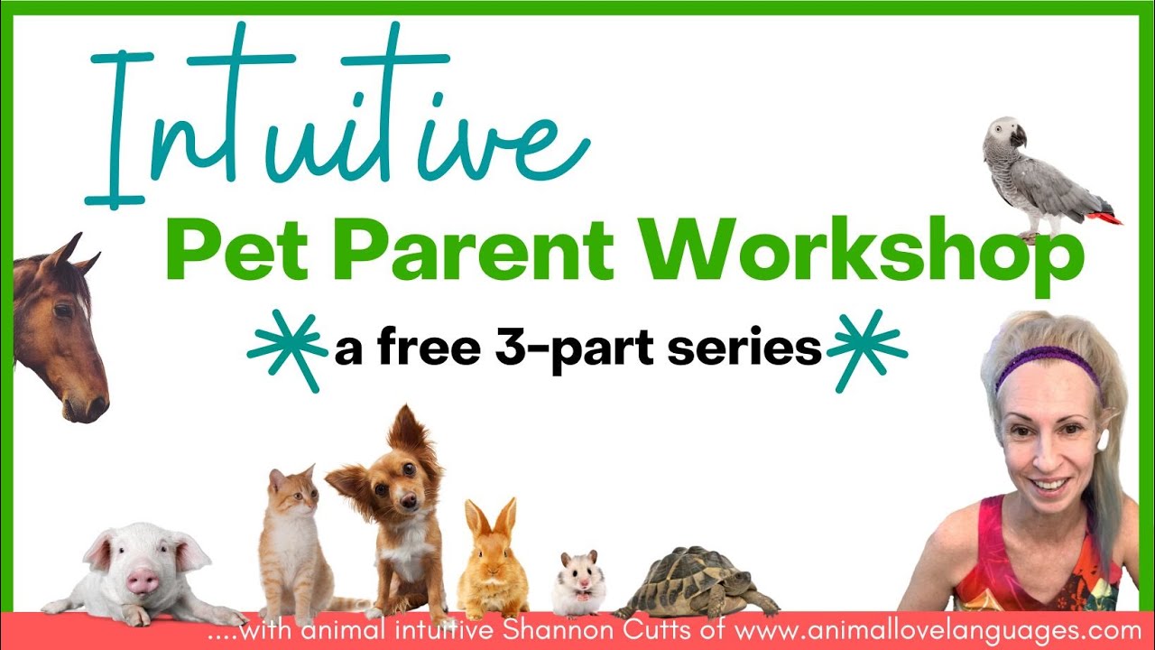 Intuitive Pet Parent Mini Course Trailer - YouTube
