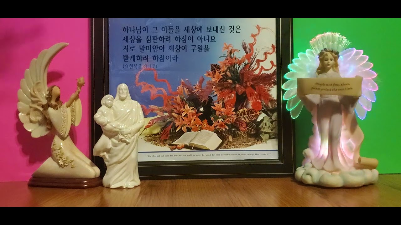 어린양의 흘리신 피로~~🧚♂️🇰🇷🇺🇸🧚♂️ Youtube