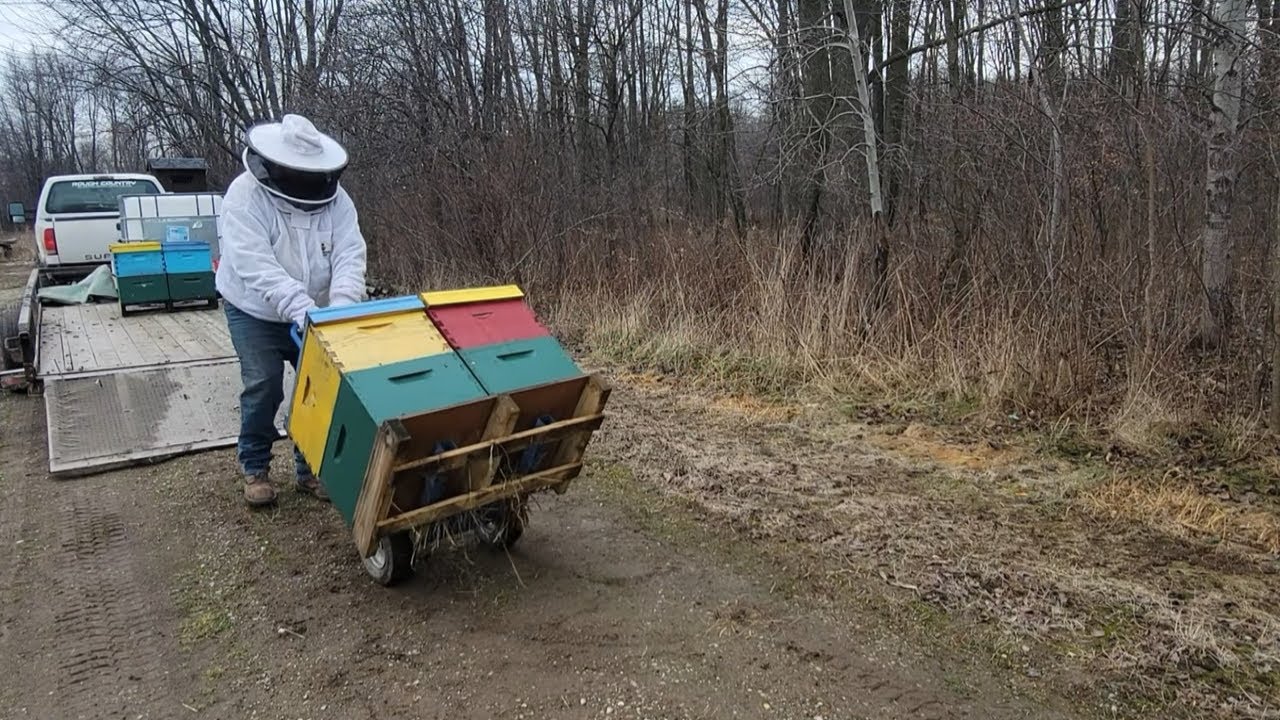 Moving some beehives with a thermal camera, But does it go as planned ...