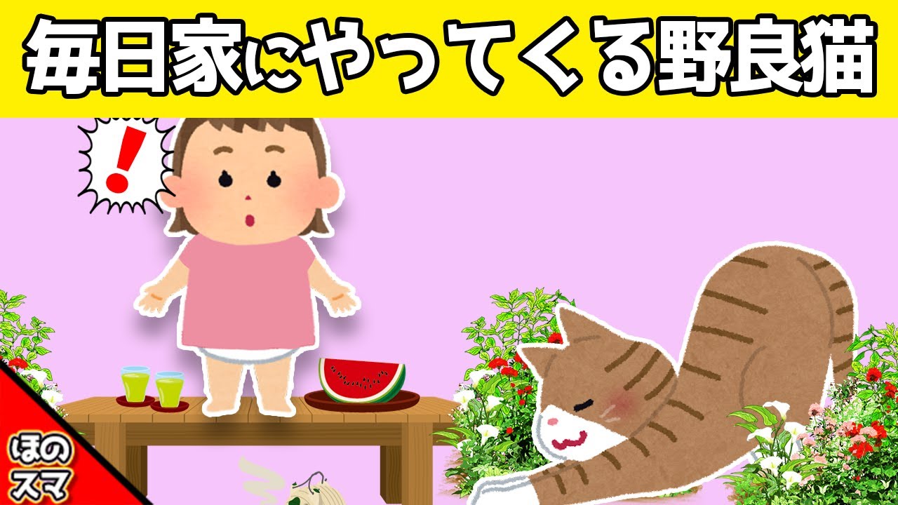 【2chほのぼの】毎日庭にやってくる野良猫と、娘の関係を見守っていた結果 Youtube