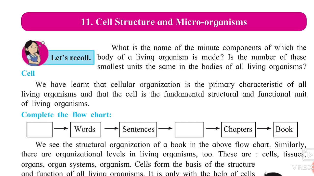 7th std / Science / Lesson no 11 / Cell structure and micro-organisms ...