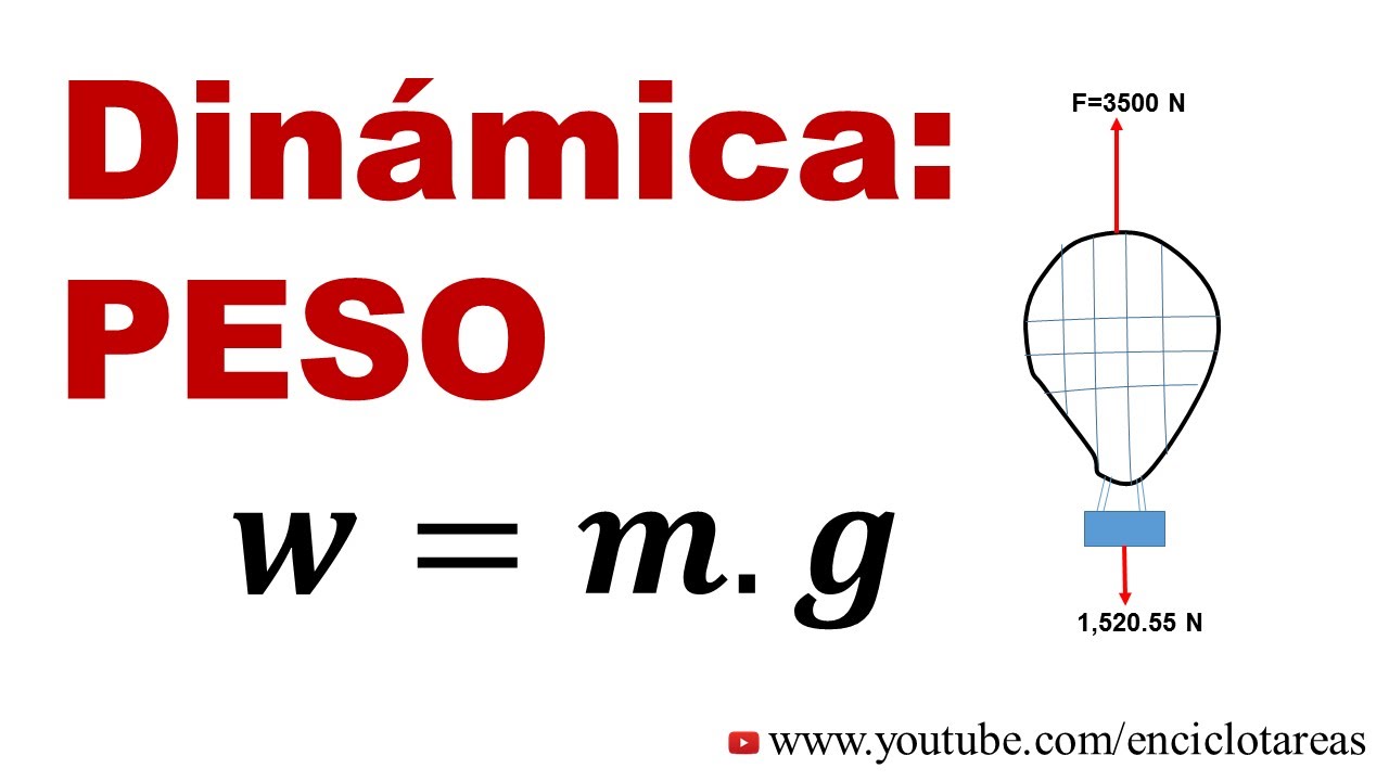 Determine el Peso- Física -No 1 - YouTube