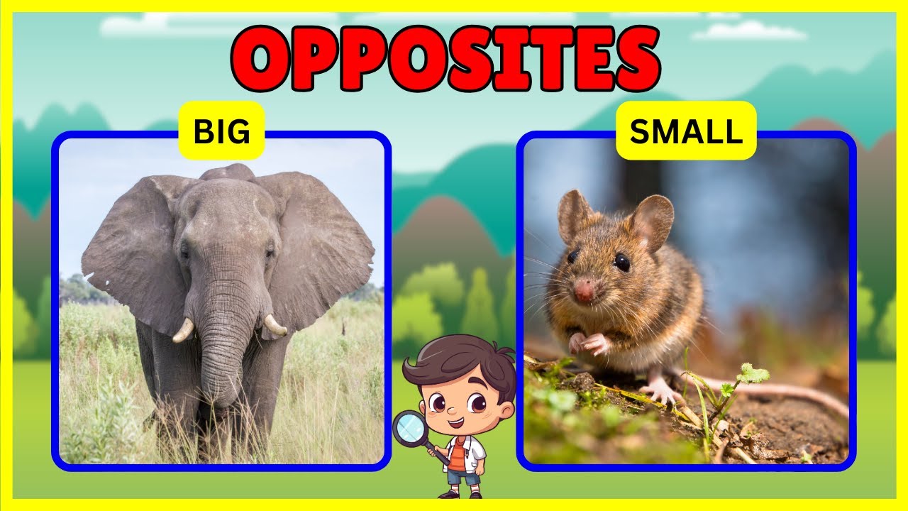 Learn OPPOSITES for Kids | Big and Small | Open Shut | English ...