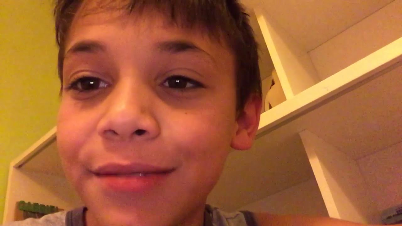 Mes animaux pourri 👎 - YouTube
