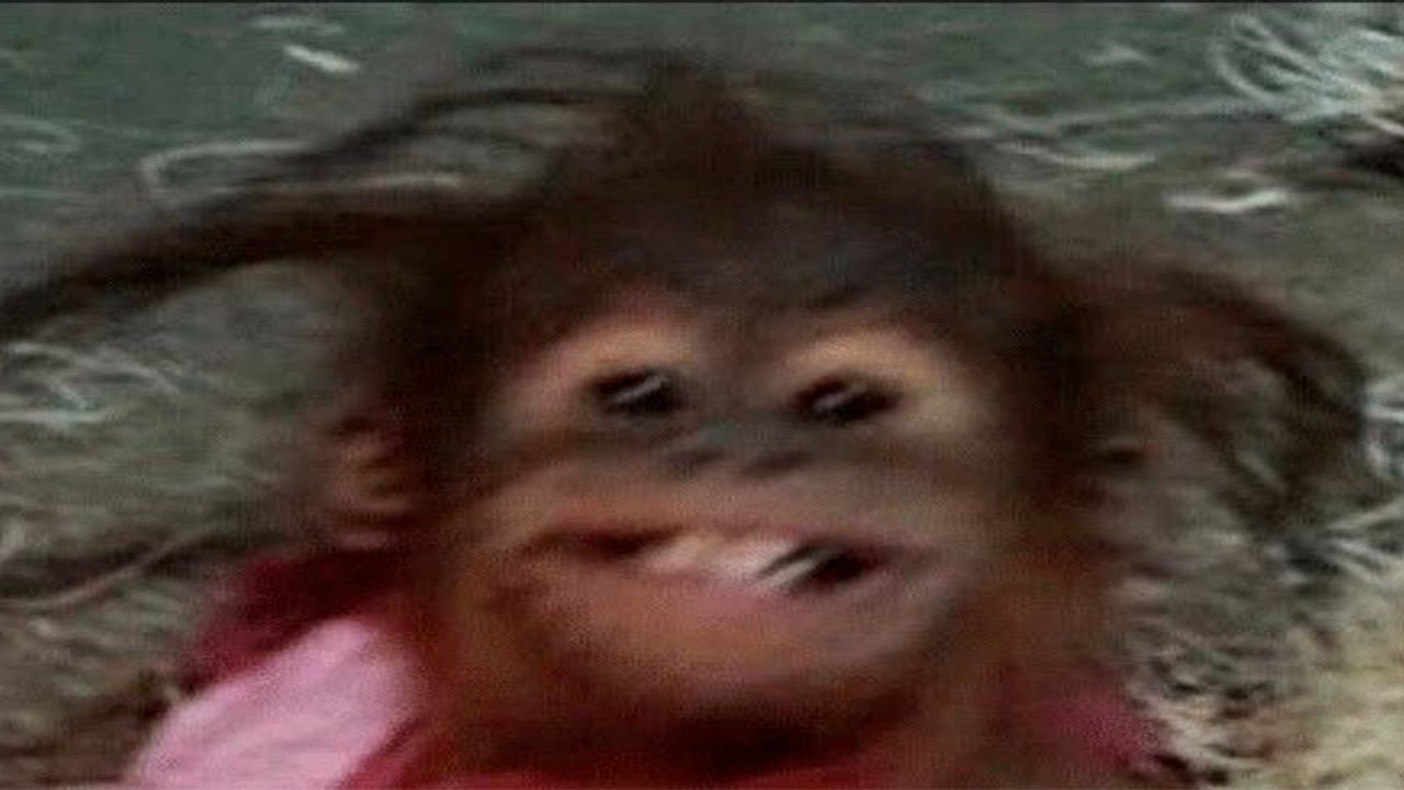 HIGHLIGHTS MIXIRICA #4 💀 (100% WAVE) - YouTube