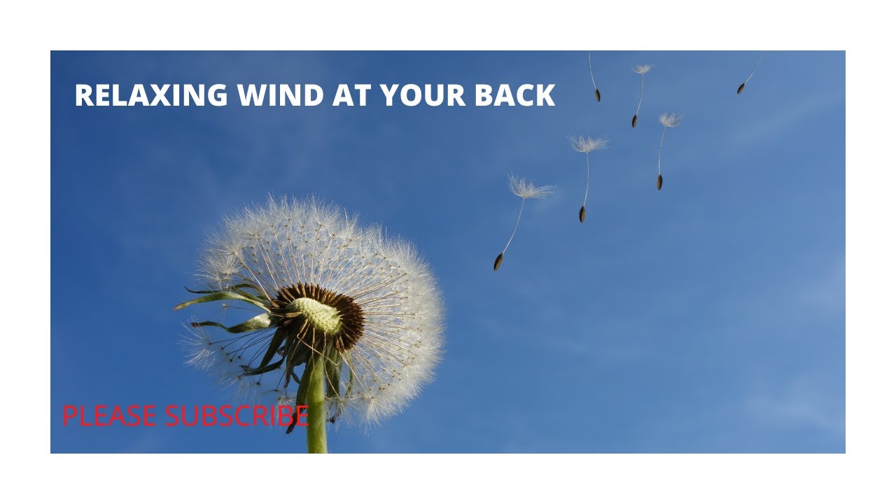 RELAXING WIND AT YOUR BACK(WHITE NOISE) - YouTube
