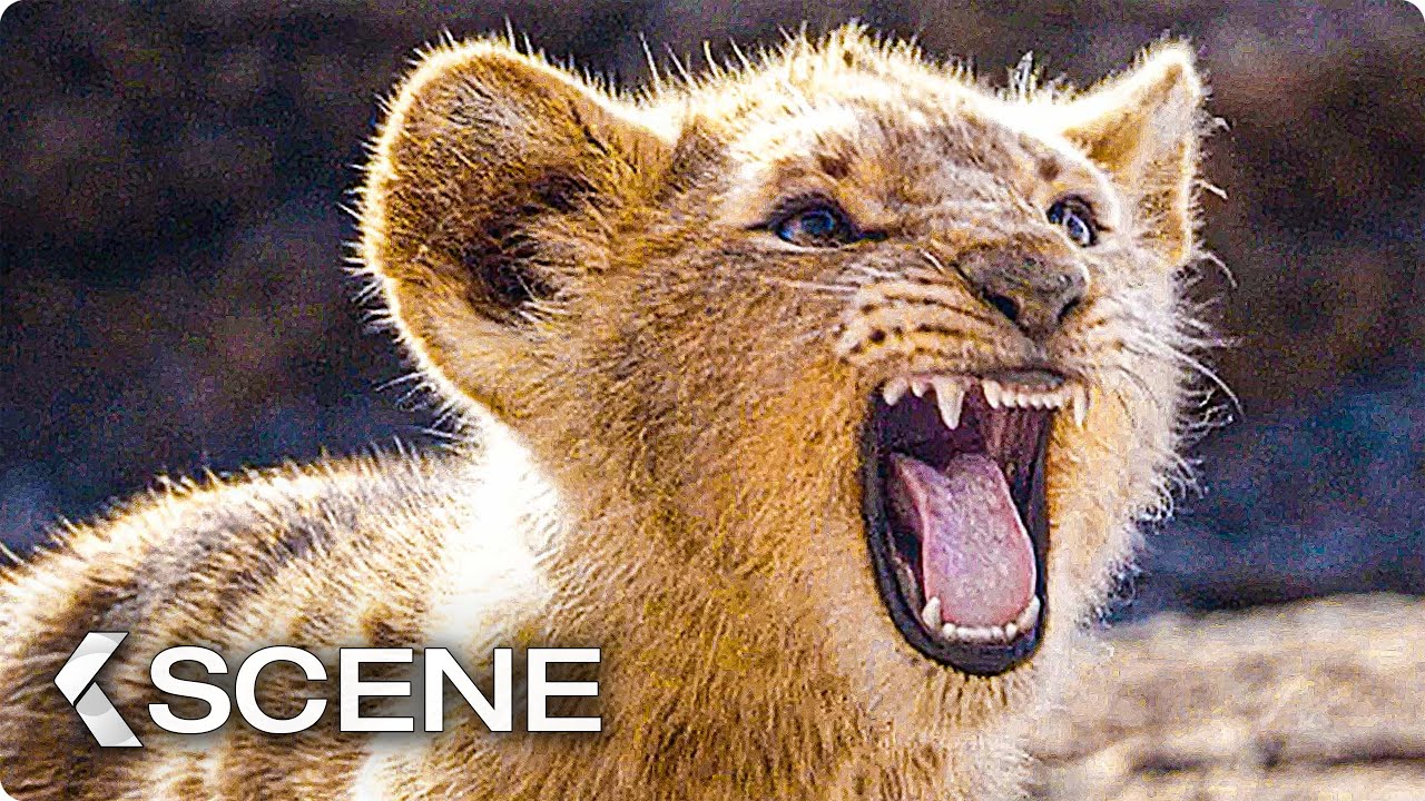 Baby Simba practice to Roar Scene - THE LION KING 2019) - YouTube