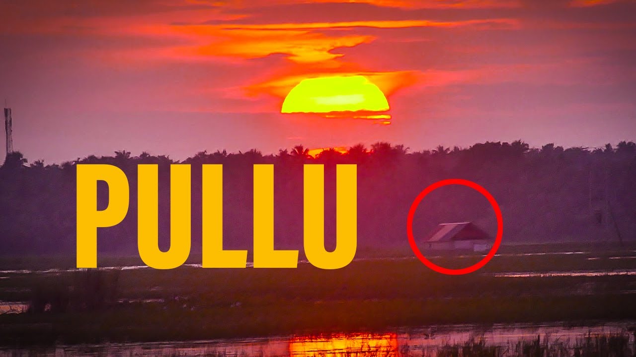 beautiful village in kerala pullu padam - YouTube