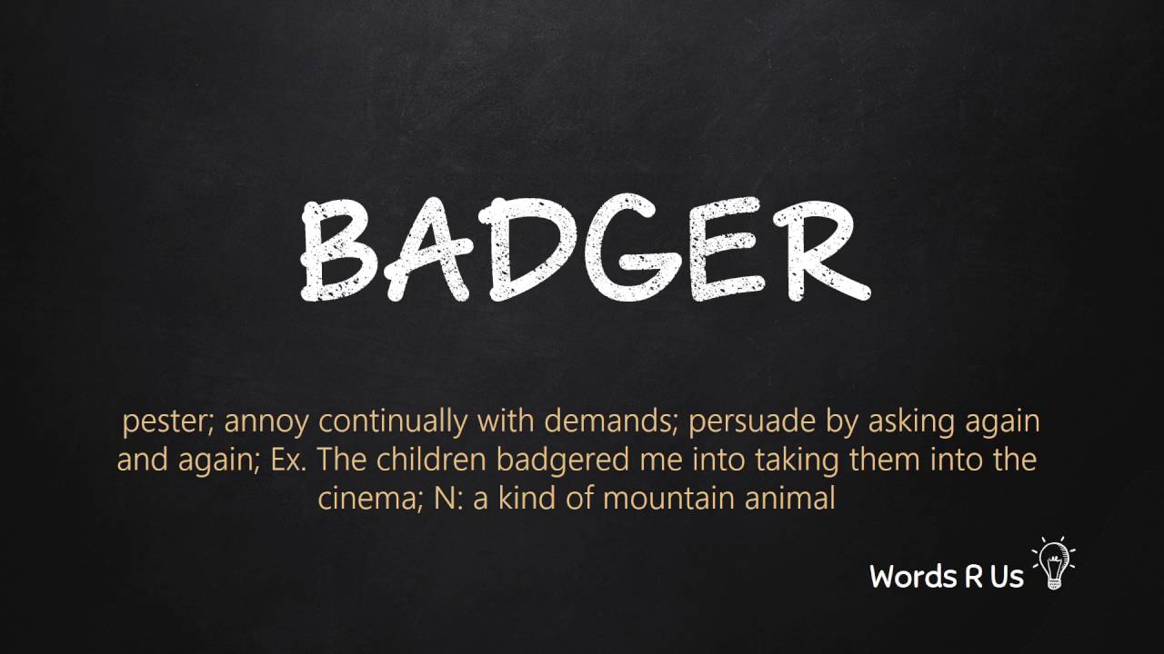 How to Pronounce BADGER in American English - YouTube